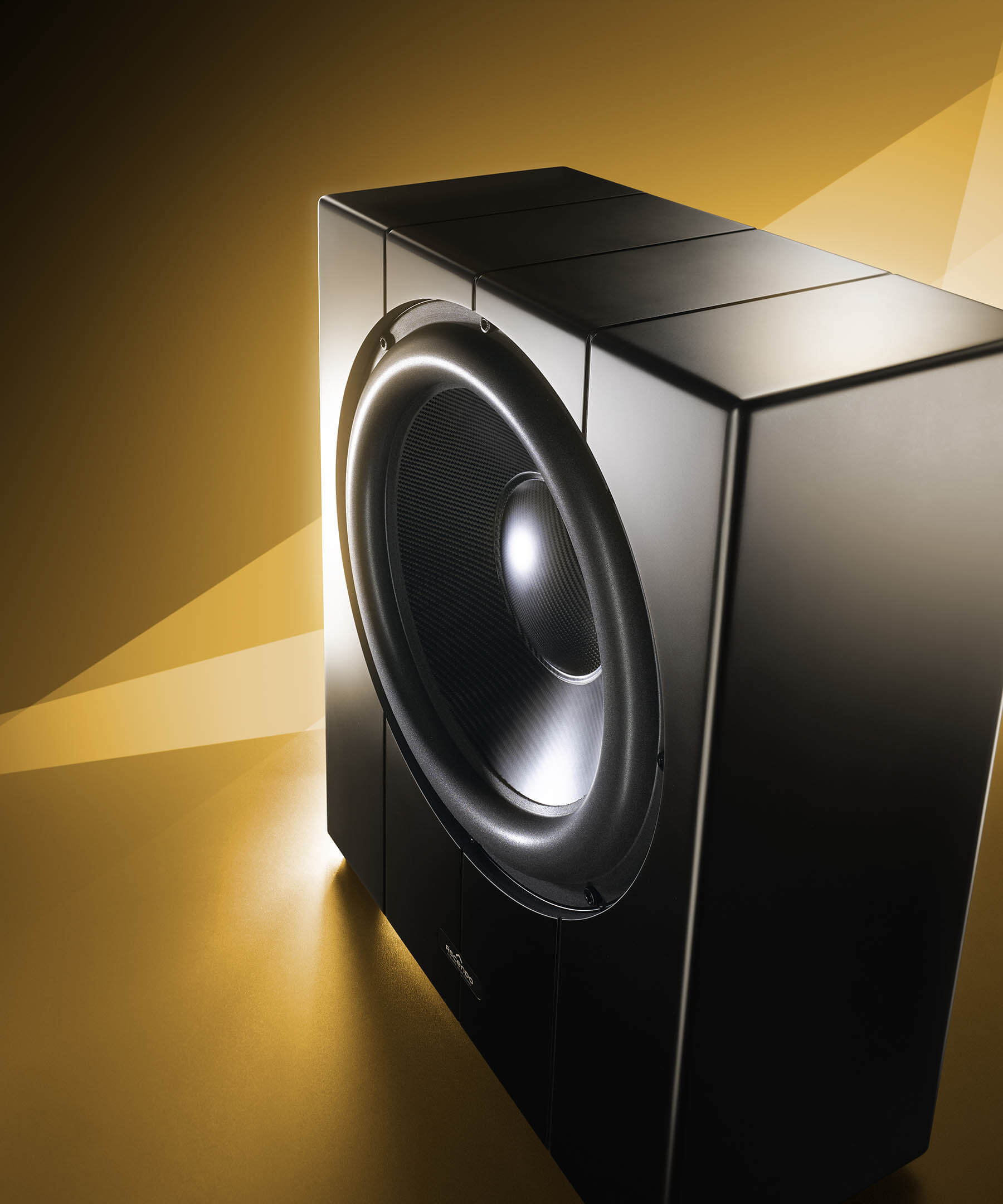 THE18 SUB PRO PASSIVE SEALED SHALLOW